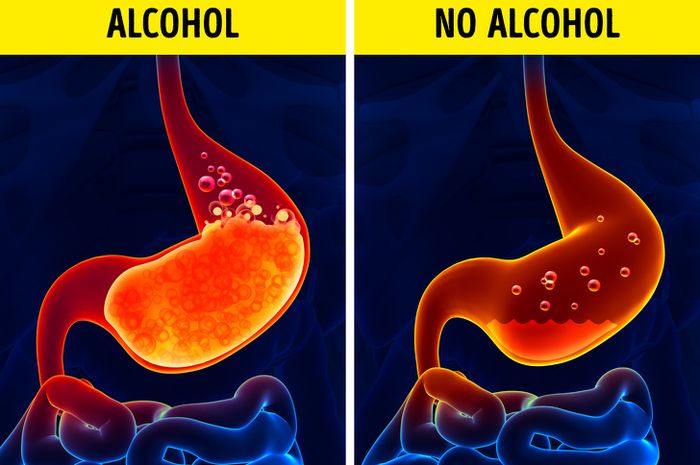 Ini yang Akan Terjadi pada Tubuh Saat Kita Berhenti Minum Alkohol ...