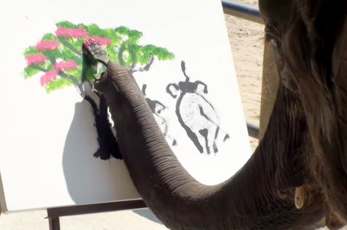 Ada Gajah yang Bisa Melukis, Ini 5 Kemampuan Gajah yang Istimewa - Bobo