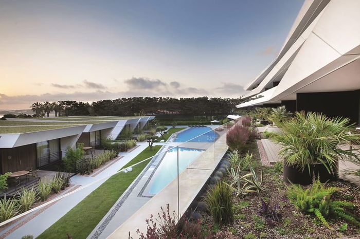 Tropical Green Roof System Paling Cocok di Negara Tropis, Desainnya ...