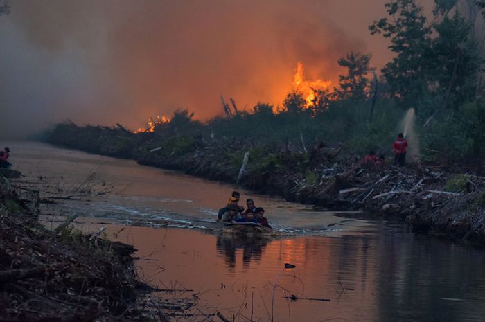 Kebakaran Hutan dan Lahan di Riau Kian Parah, Warga dan Gubernur Derita ...