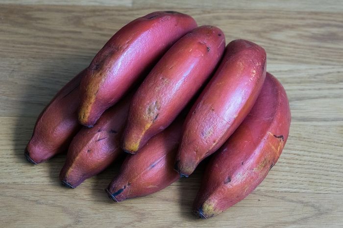 Tak Hanya Hijau dan Kuning, Pisang Ada yang Berwarna Merah Juga, lo ...