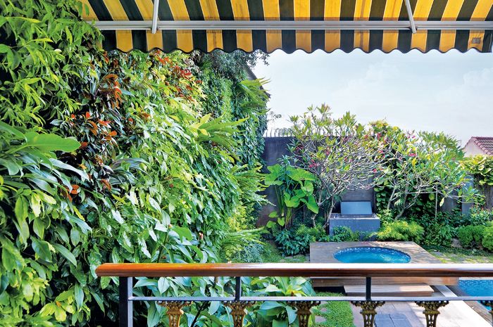 Mau Tau Cara Merawat dan Jenis Taman Vertikal? Jangan Skip yang Ini! - iDEA