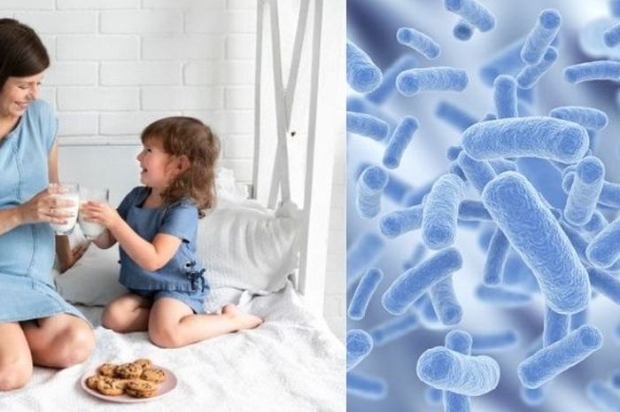 Ada Banyak Jenis Probiotik, Ini Yang Baik Untuk Perkembangan Otak Anak ...