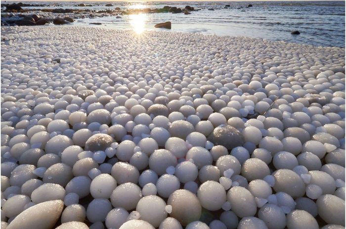 Fenomena Langka, Ribuan 'Telur Beku' Ini Tutupi Permukaan Pantai ... Fenomena Langka, Ribuan 'Telur Beku' Ini Tutupi Permukaan Pantai ...