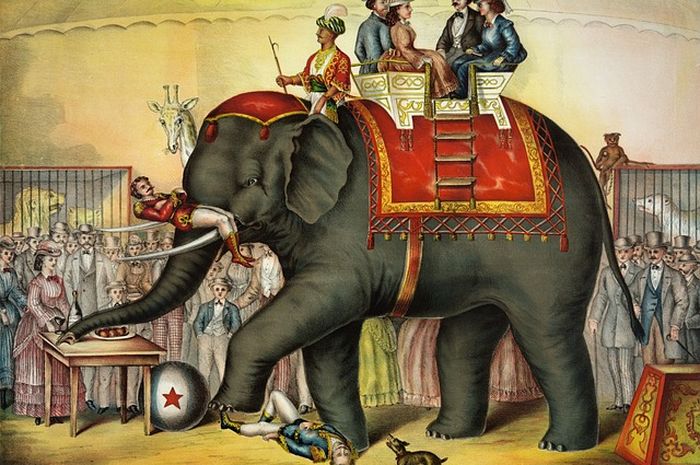 Kisah Pilu Topsy Gajah Sirkus Penurut yang Dibunuh, Berakhir Tragis ...