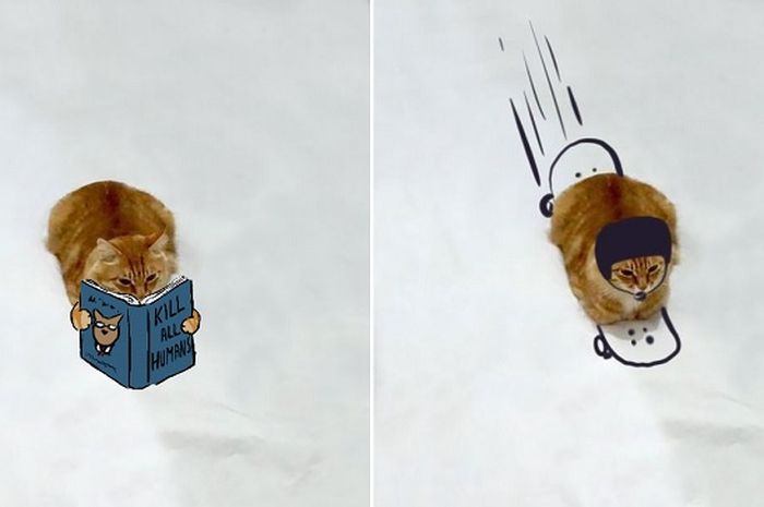 10 Potret Kucing yang Dikombinasikan dengan Doodle, Hasilnya Lucu Abis ...