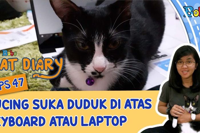 Viral! Kisah Lumpuh 3 Bulan Gara-gara Bercanda Tarik Kursi dan Harus Dioperasi - Kids