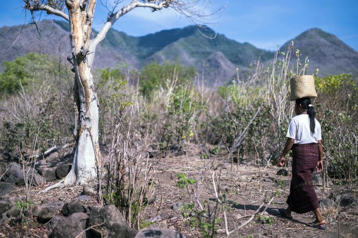 Menguatkan Peran Perempuan dalam Pengelolaan Perikanan Berkelanjutan ...