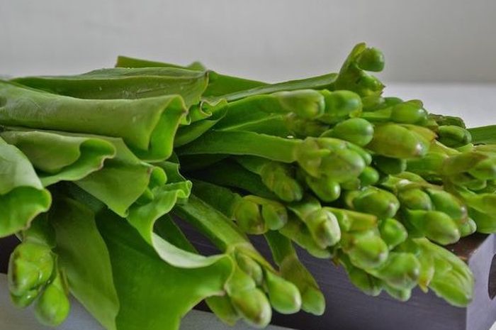 Siapa Sangka Konsumsi Rutin Tanaman Daun Genjer, Ternyata Dapat ...