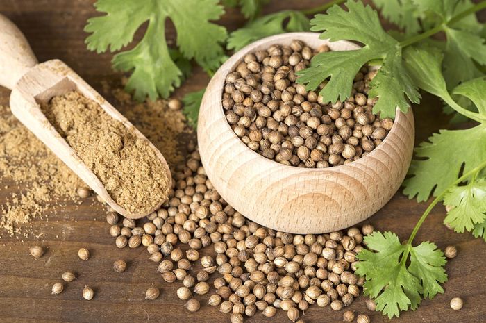 Punya Banyak Manfaat untuk Kesehatan, Rupanya Ketumbar Tak Boleh ...