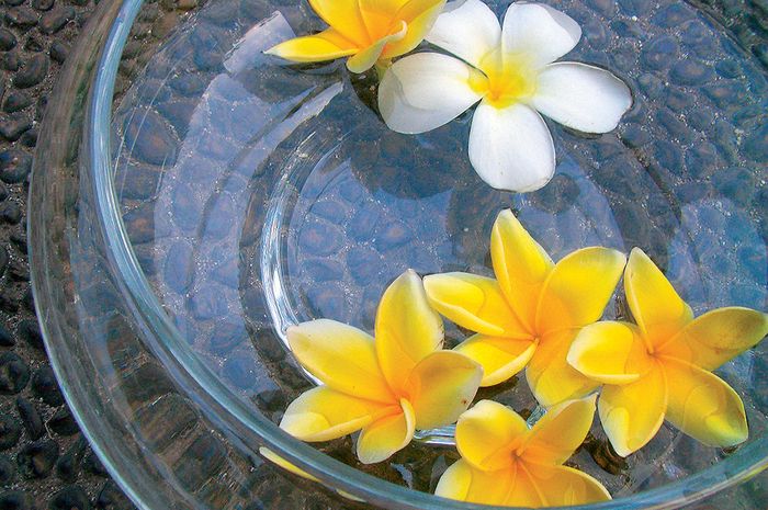 Jarang Diketahui, Ternyata Bunga yang Sering di Makam Ini Cantik ...