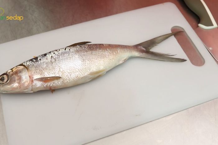 Tips Membersihkan Sisik Ikan Cuma Bermodal Kantung Plastik, Dijamin ...