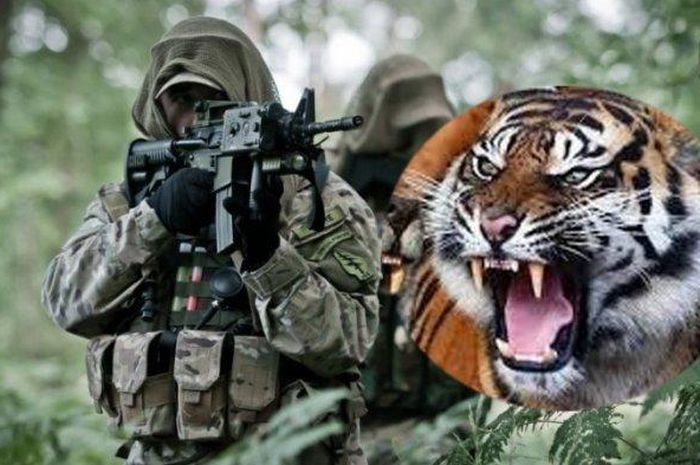 Selalu Buat Panik Pasukan Belanda, Inilah Pasukan 'Harimau' yang ...