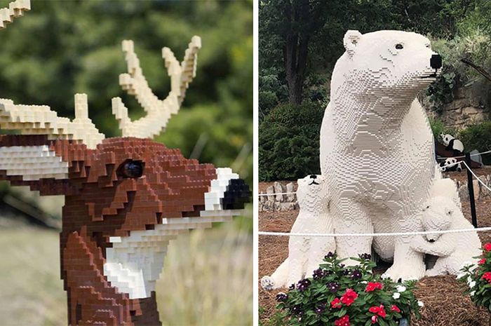 Kreatif! Tarik Pengunjung Pasca Lockdown, Kebun Binatang Ini Hadirkan ...