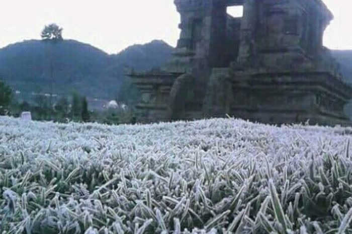 Embun Es Muncul di Dieng Secara Mengejutkan, Ternyata Ini Penyebabnya ...