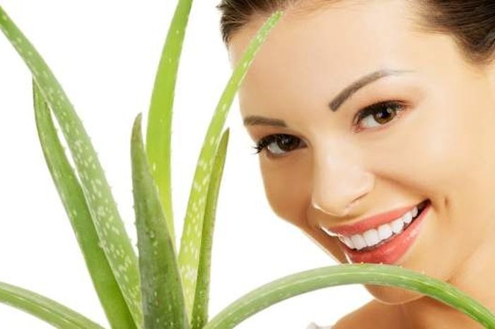 Cara Membuat Masker Lidah Buaya untuk Mencerahkan Kulit Wajah - Intisari Cara Membuat Masker Lidah Buaya untuk Mencerahkan Kulit Wajah - Intisari