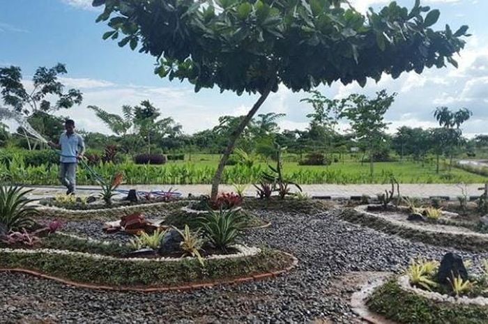 Raperda Difinalisasi, Pengembangan Kebun Raya Banua Jadi Prioritas ...