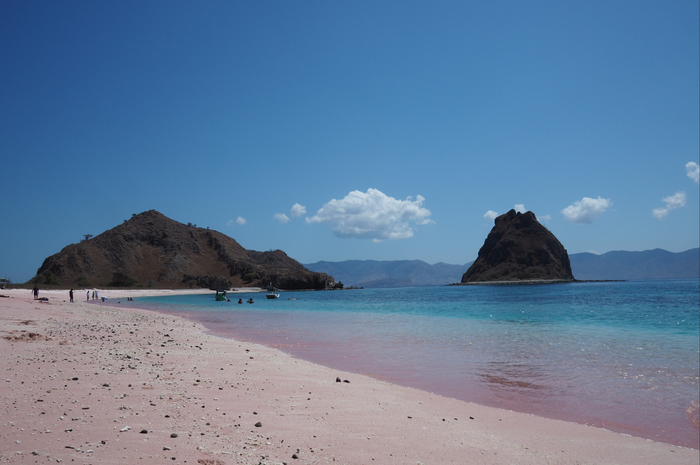 Tujuh Pantai Pasir Pink yang Menyimpan Pesona Pesisir Indonesia ...