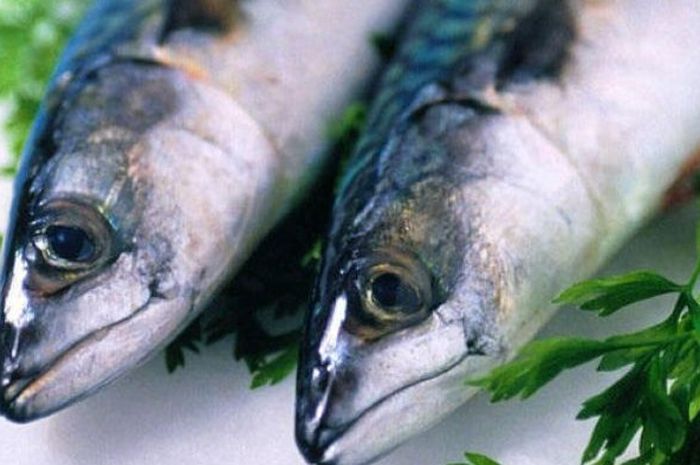 Ikan Busuk Jangan Dibuang! Ternyata Punya Manfaat Luar Biasa Yang Tak ...
