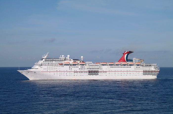 Cara Kerja Pesawat Terbang dan 4 Macam Gaya yang Digunakan - Kids