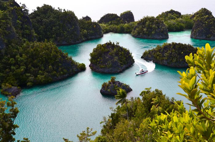 Raja Ampat Menyimpan 5 Fakta Unik yang Jarang Orang Tahu, Ternyata ...