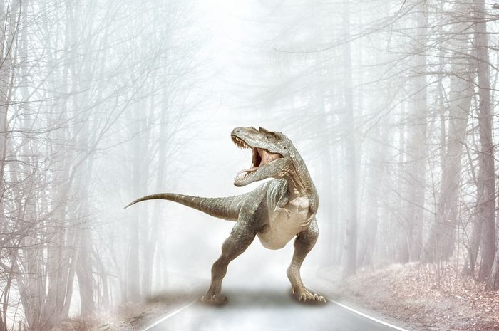 Dianggap Sebagai Rajanya Dinosaurus, Berikut Fakta Mencengangkan ...