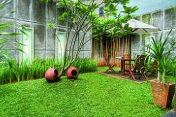 Agar Rumput Selalu Hijau dan Lebat, Jangan Abaikan 5 Hal Penting Ini - iDEA