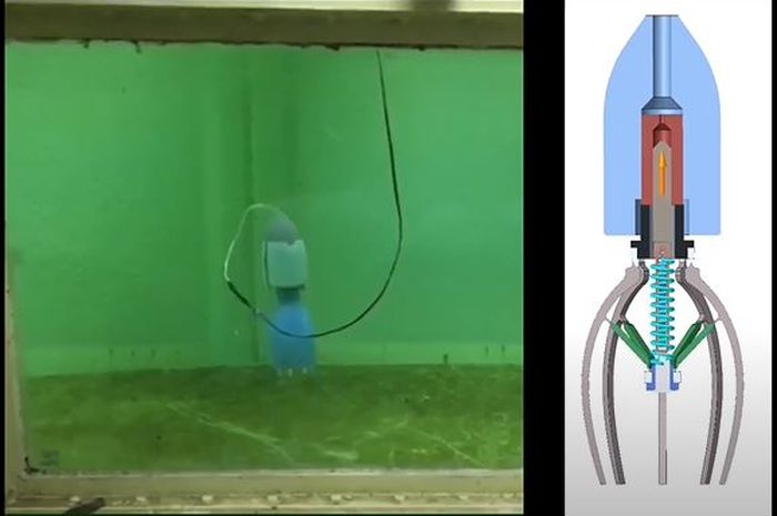 Sains Terbaru, Robot Ini Bisa Berenang dengan Efisien Mirip Satwa Laut ...