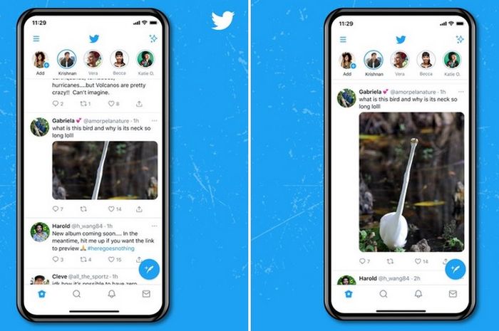 Tampilan Foto dan Video di Twitter Kini Penuh, Lebih Jelas Dilihat ...