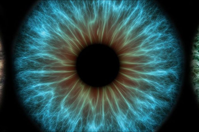 Optogenetik: Terapi Mata Ini Mampu Memulihkan Penglihatan Orang Buta ...