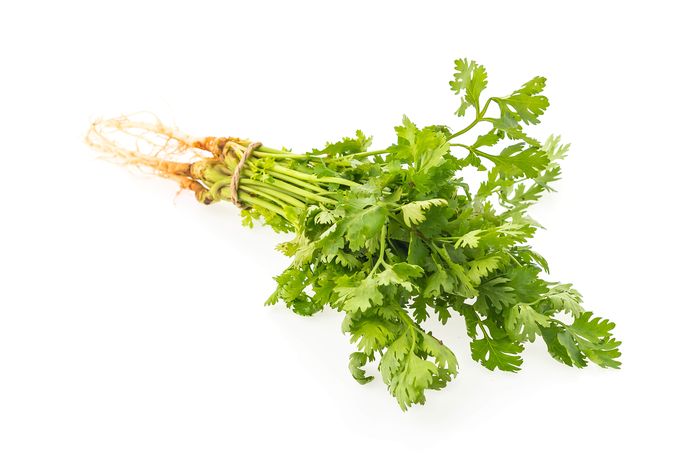 Siapa Sangka, Ramuan Daun Ketumbar Bisa Berikan Manfaat Detoksifikasi ...