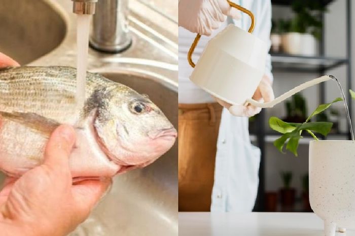 Duh, Yakin Masih Mau Buang Air Bekas Cucian Ikan Setelah Tahu Fakta ... Duh, Yakin Masih Mau Buang Air Bekas Cucian Ikan Setelah Tahu Fakta ...