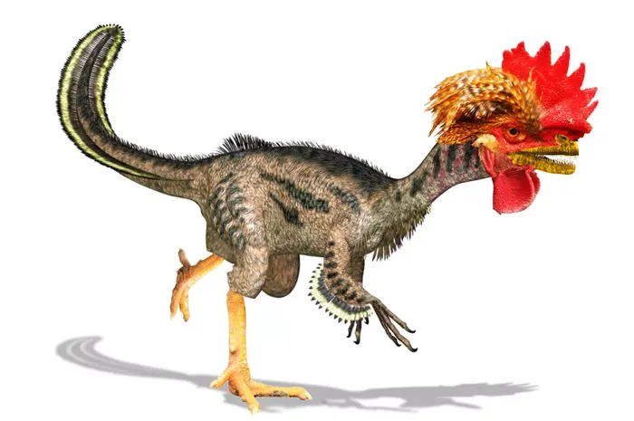 Upaya Sains Merekayasa Genetik Ayam Supaya Kembali Berwujud Dinosaurus ...