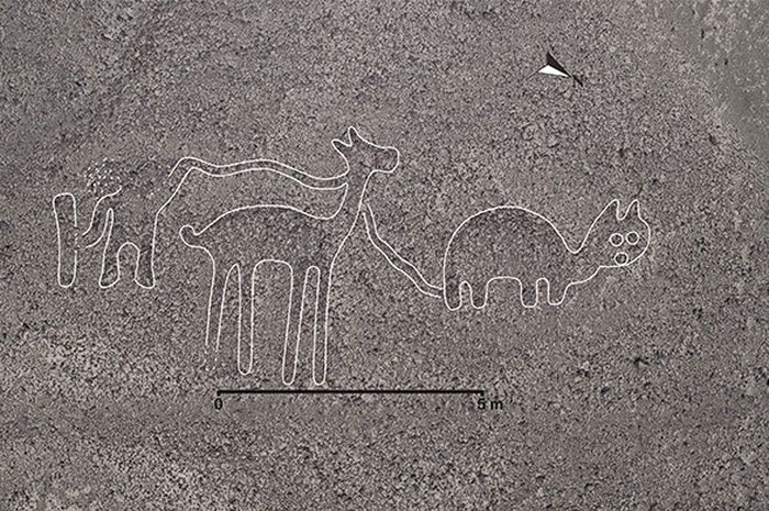Nazca Line, Garis Raksasa di Peru Yang Diyakini Pesan untuk Alien ...
