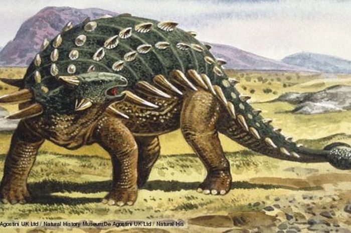 Dinosaurus Ini Memiliki Pendingin Udara Yang Rumit di Tengkoraknya ...