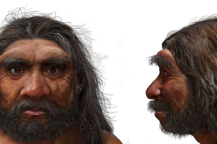 Fosil Tengkorak Homo Longi di Harbin, Tiongkok Berusia 146.000 Tahun ...