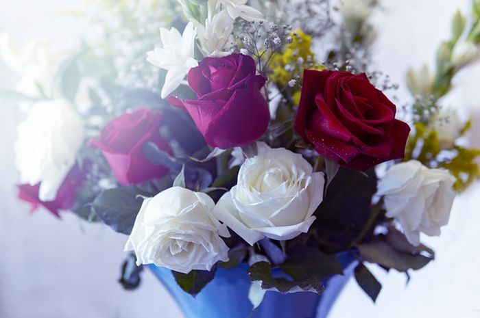 Rangkuman Jawaban Ciri Khas Bunga Mawar, Bentuk dan Warnanya, Kelas 3 ...