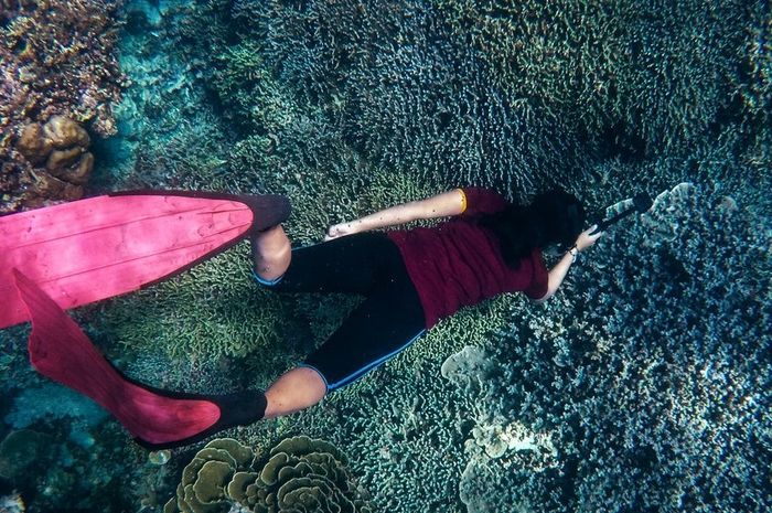 5 Manfaat Menyelam, Mulai dari Latih Pernapasan hingga Perkuat Sistem ...