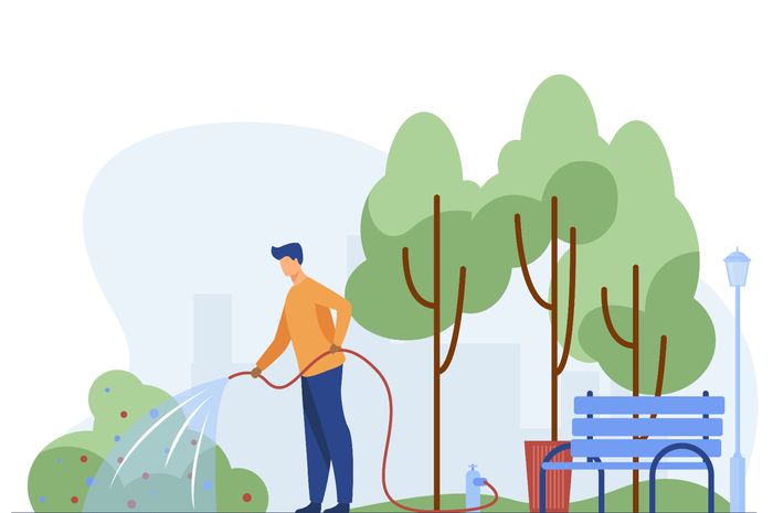 Pahami Waktu yang Tepat, Perhatikan 5 Hal Ini saat Menyiram Tanaman - Bobo