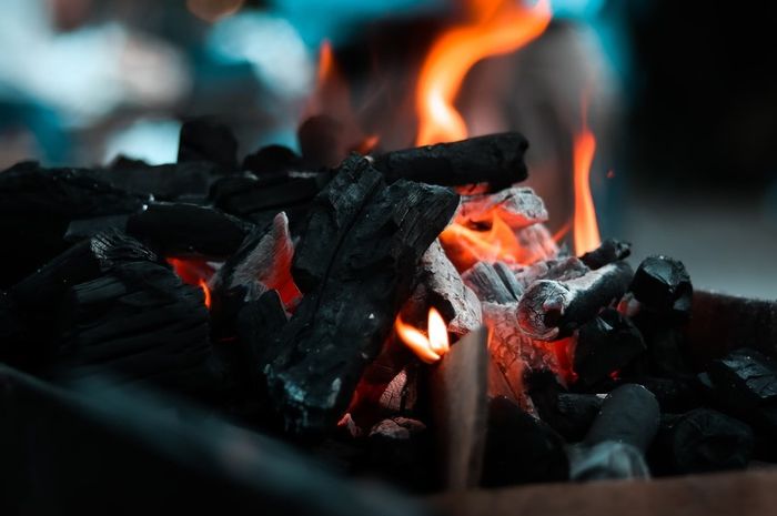 Pengertian Dan Contoh Bahan Bakar Fosil - vrogue.co Pengertian Dan Contoh Bahan Bakar Fosil - vrogue.co