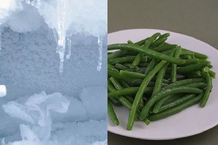 BERITA POPULER : Cara Membuat Bunga Es Di Freezer Cepat Cair Sampai ...