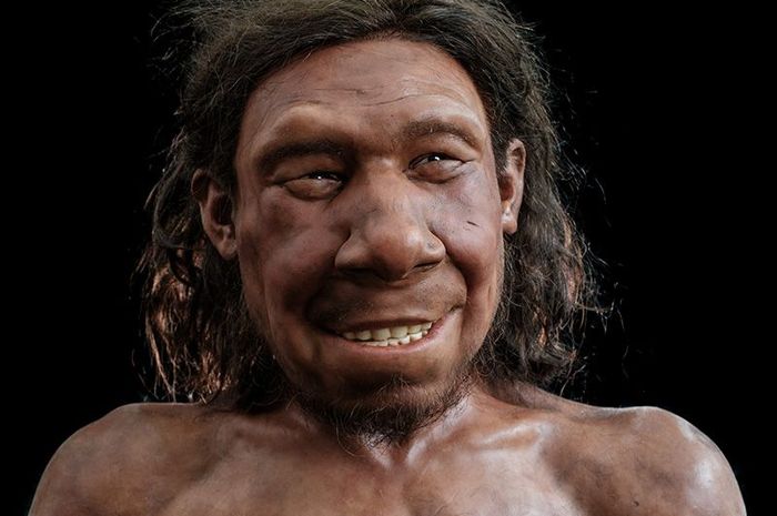 Begini Rupa Krijn, Neanderthal Pertama yang Ditemukan di Belanda ...