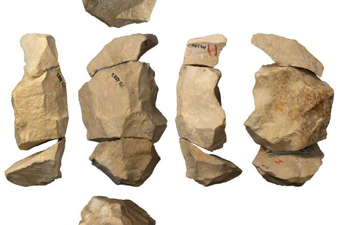 Seperti Apakah Ragam Perkakas Batu Buatan Manusia Neanderthal ...