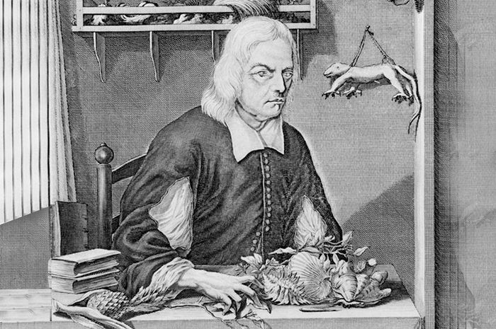 Merapah Rempah: Rumphius dan Riwayat Kacang Tanah di Nusantara ...