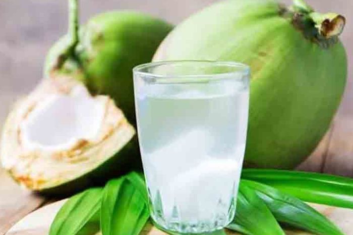 Jangan Dulu Beli Obat ke Warung! Coba Minum Air Kelapa 2 Kali Sehari ... Jangan Dulu Beli Obat ke Warung! Coba Minum Air Kelapa 2 Kali Sehari ...