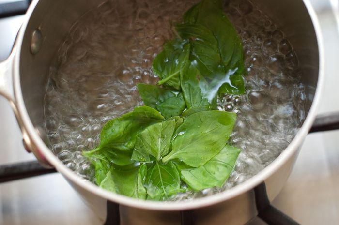 Dikira Sehat, Air Rebusan Kemangi Ternyata Pantang Banget Diminum oleh ...