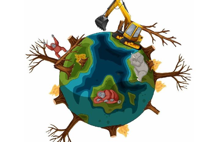 Apa Saja Penyebab Hutan Gundul - Perumperindo.co.id