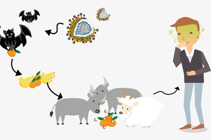 Meriset Penyakit Zoonotik di Indonesia dan Mengendalikan Penyebarannya ...