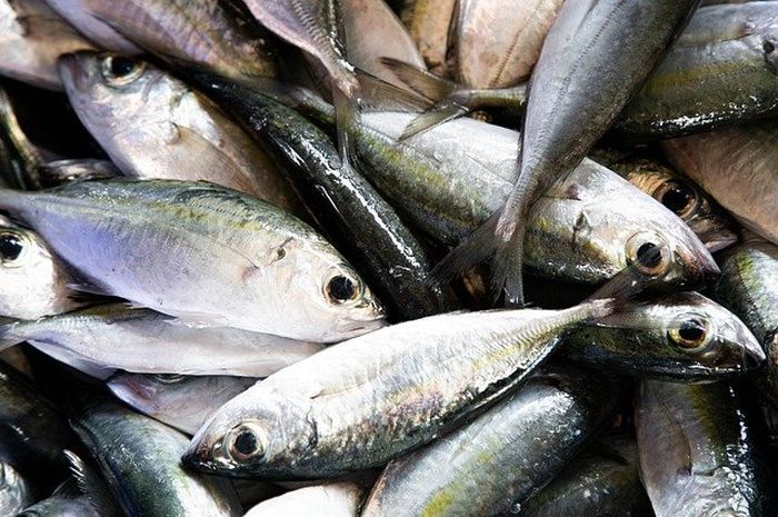 Bisa Diterapkan Mulai Sekarang, Ternyata Ini Kebiasaan Orang Jepang ... Bisa Diterapkan Mulai Sekarang, Ternyata Ini Kebiasaan Orang Jepang ...