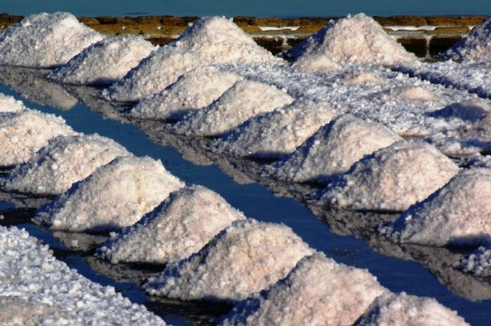 Proses Pembuatan Garam dari Air Laut, Materi Kelas 3 SD Tema 3 - Bobo